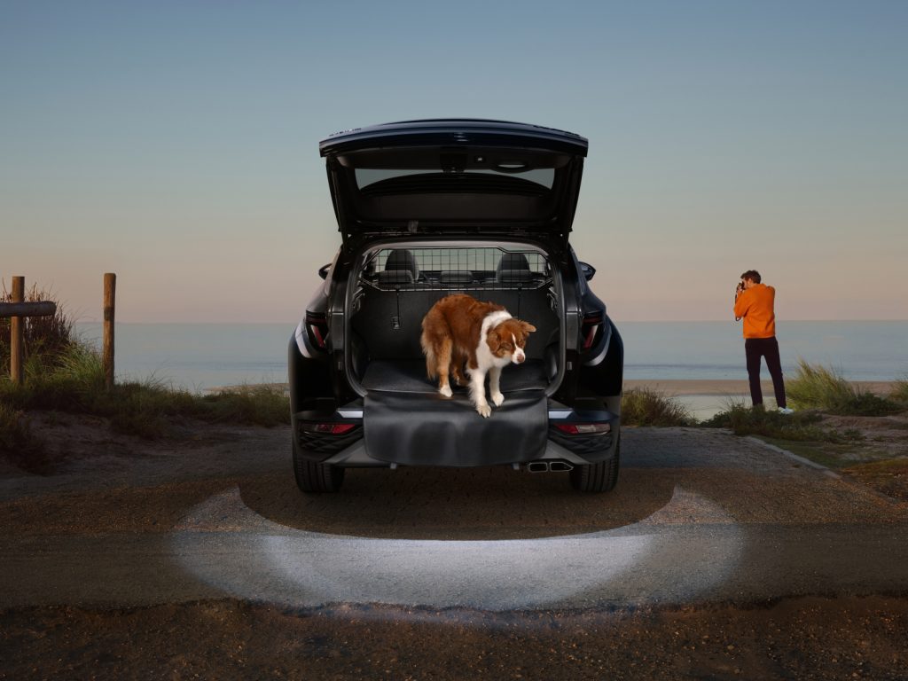 Hyundai Bumper flap for trunk mat – Hyundai Accessories